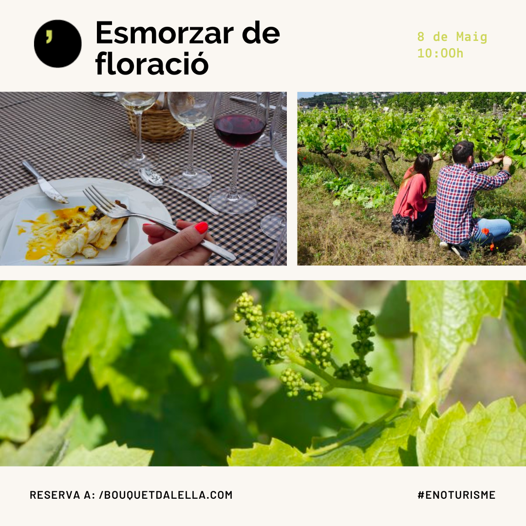 Green pruning workshop - Bouquet d'Alella